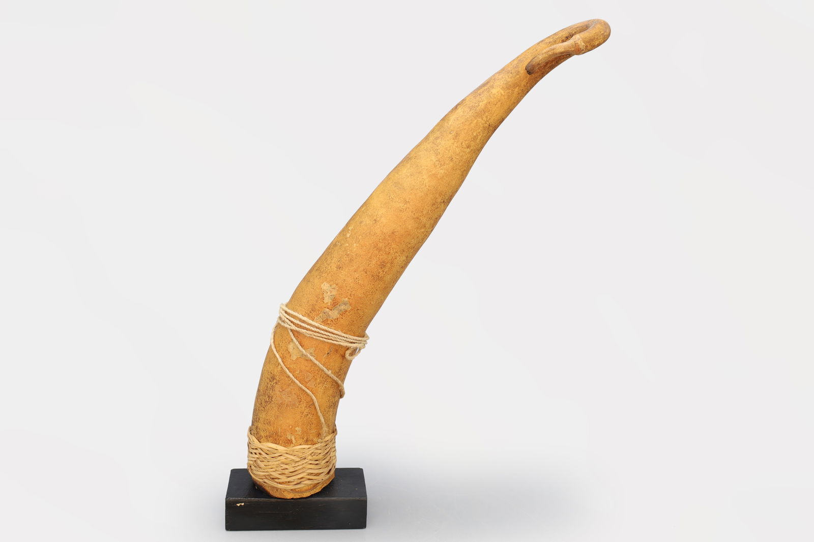 Papua New Guinea, Koteka, Horim Phallocrypt Tribal Penis Gourd ...