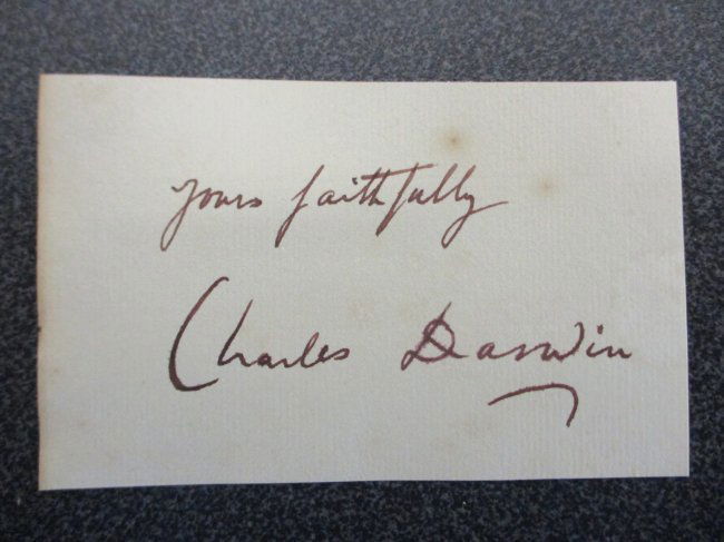 Extraordinary Charles Darwin Signed Cut Signature A Glimpse Into ...