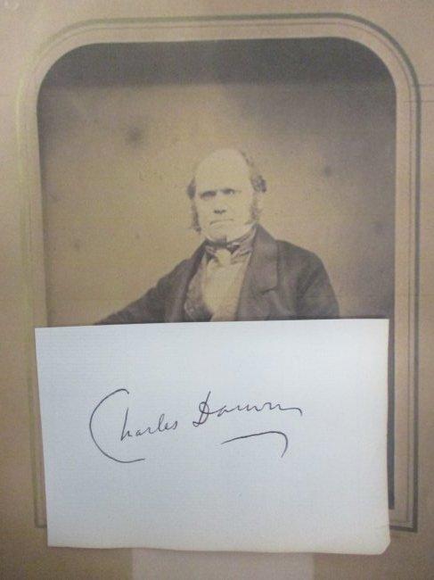 Charles Darwin Signed Cut Signature - A Rare Scientific Relic Auction