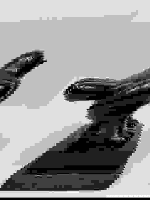 Large Colombian Bronze Sculpture Fernando Botero Bird Auction