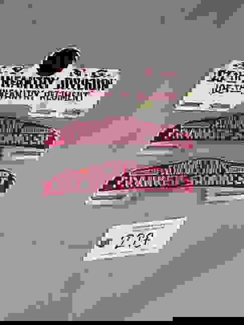 273 (3) License Plate Toppers Auction