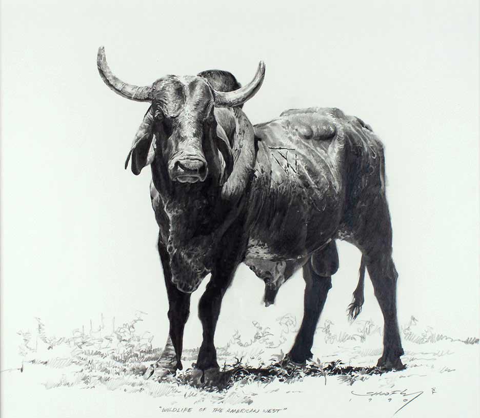 Wildlife Of The American West By Robert Shufelt (1935