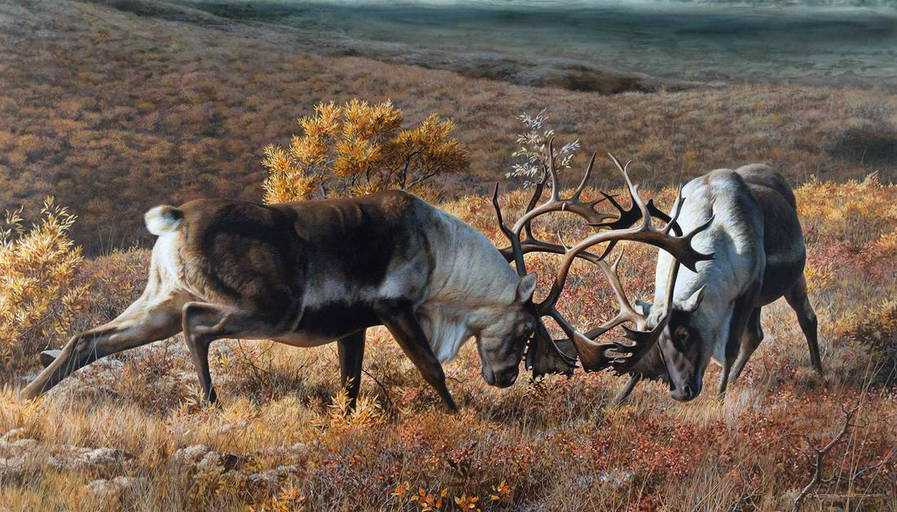 Carl Brenders (1937 ), Tundra Challenge