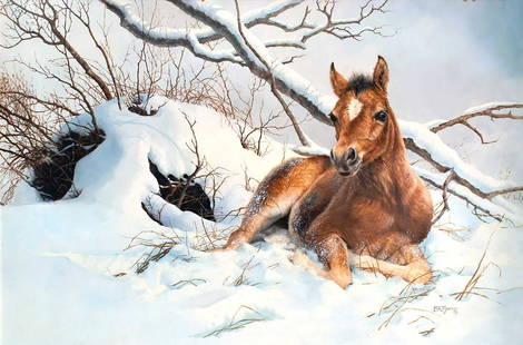 Bonnie Marris (1951 ), Relentless Winter