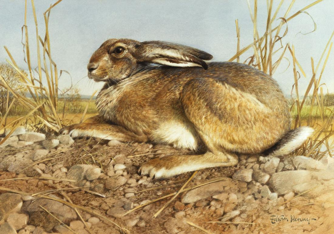 Edwin Penny (1930-2016) Hare In The Stubble Auction