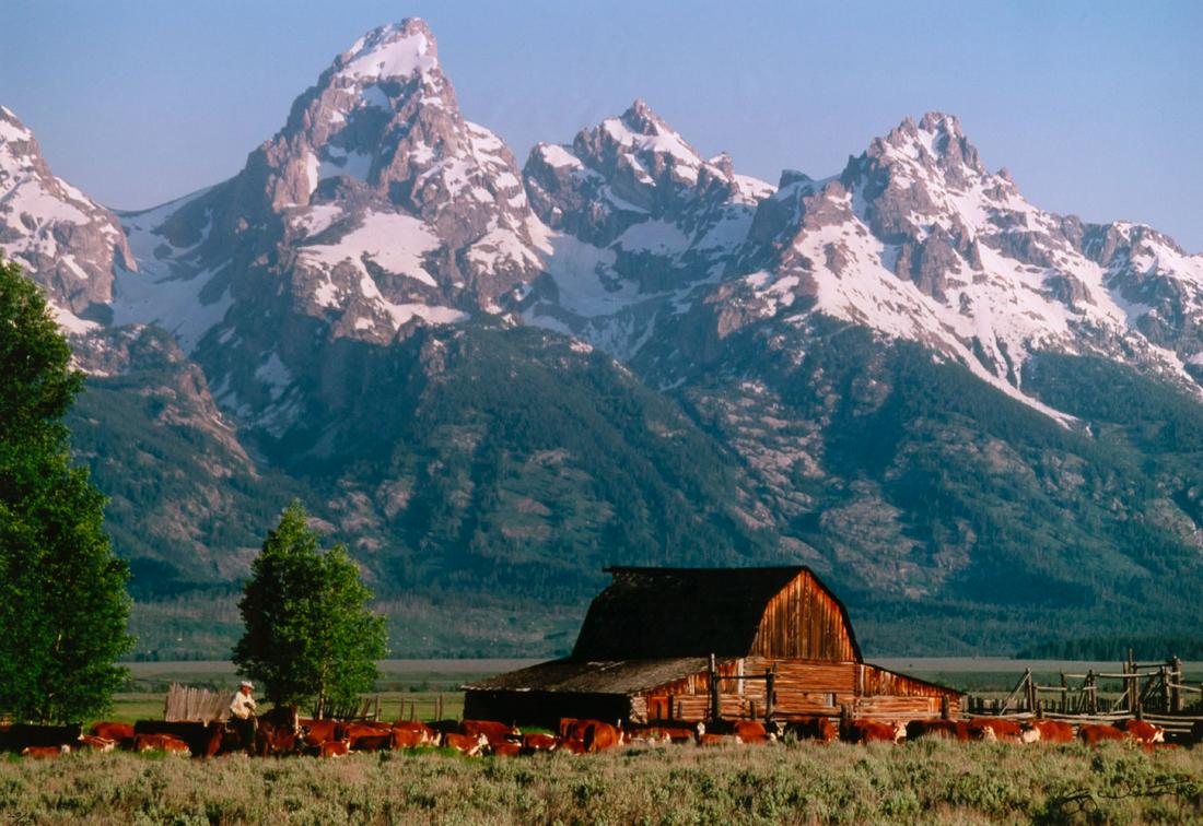 Greg Winston (21st Century) Untitled (teton Ranch) Auction