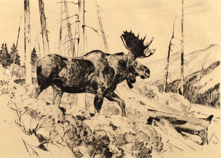 Carl Rungius (1869 1959), The Traveler