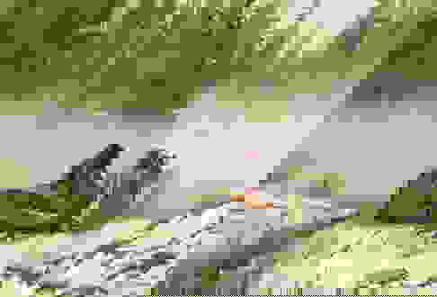 David Halbach (1931-2022), Hbc In Search Of Beaver Auction