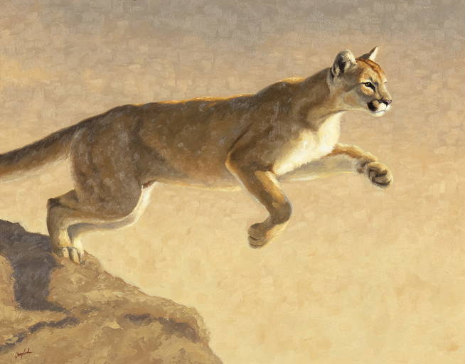 Greg Wilson (1962 ), Pouncing Puma