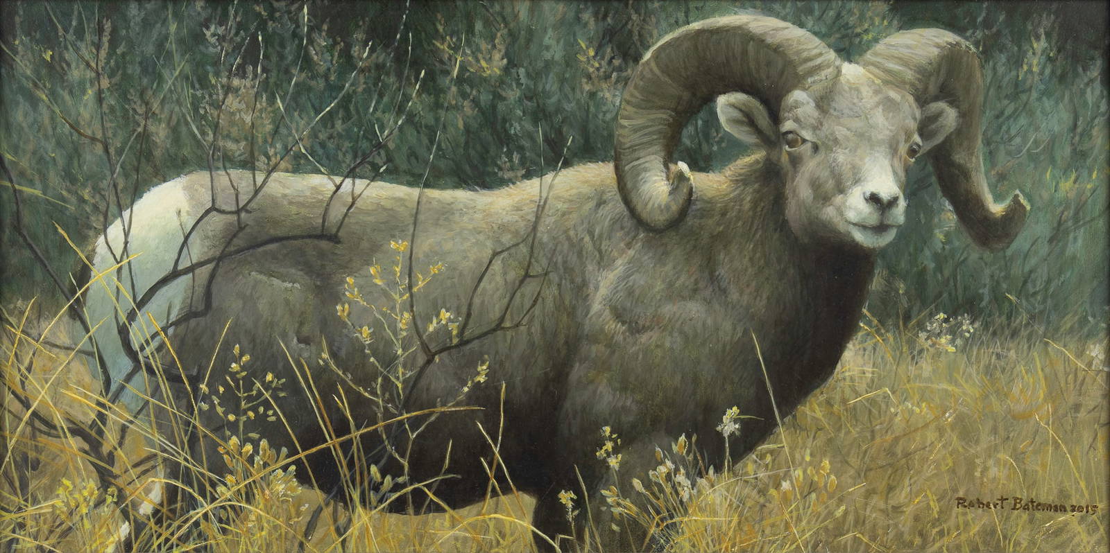 Robert Bateman (1930- ), Ram, 2015 Auction