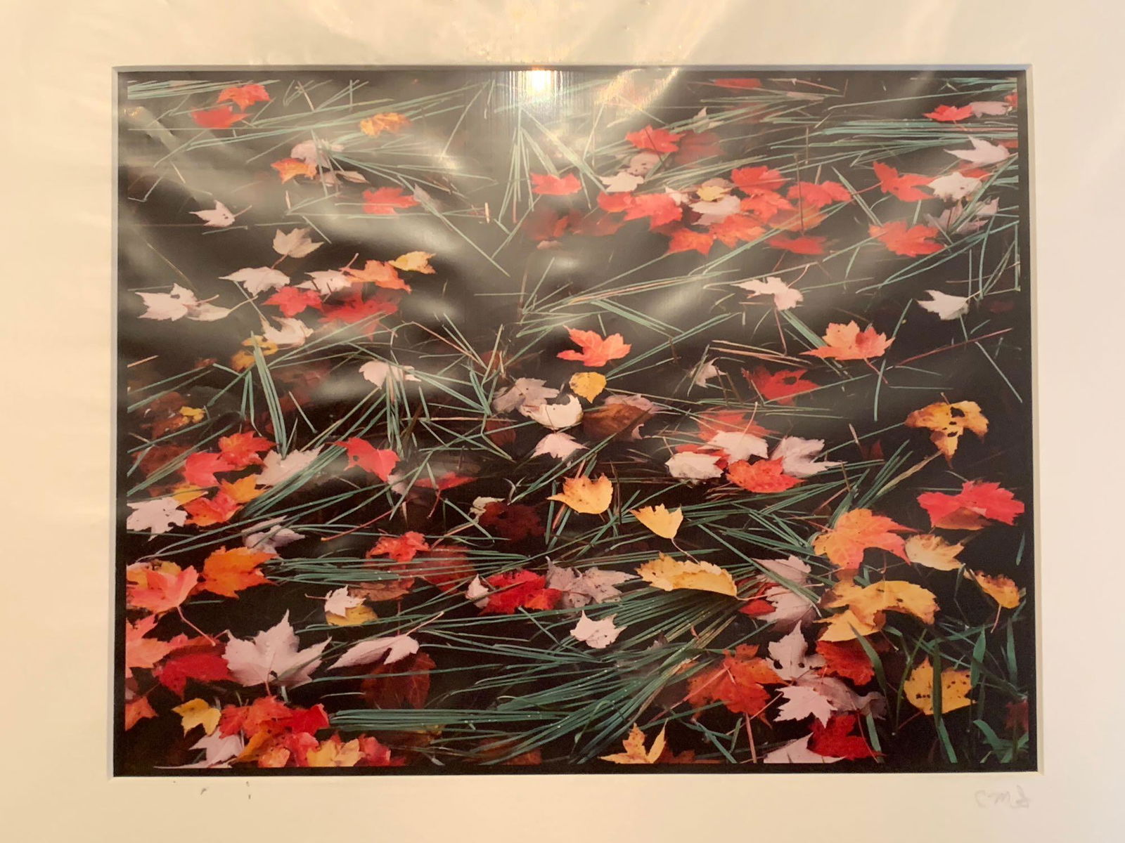 Clinton Smith. Three Photographs