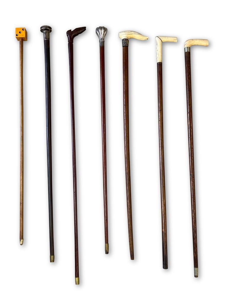 Seven Assorted Canes Auction