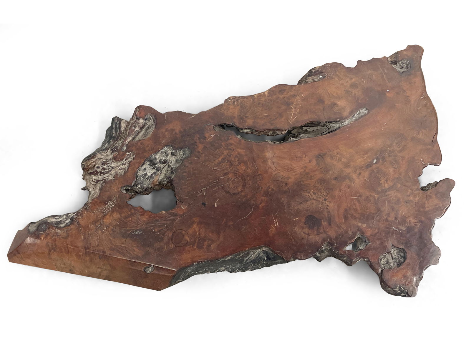 Live Edge Root Wood Slab Auction