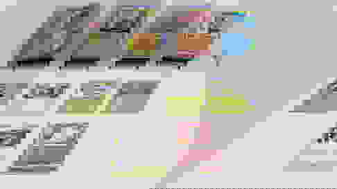 (10) Tcg Pokemon Vmax, Japanese, Charmander Auction