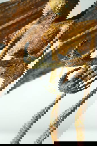 Mummified Fairy By Artist T.s.chin