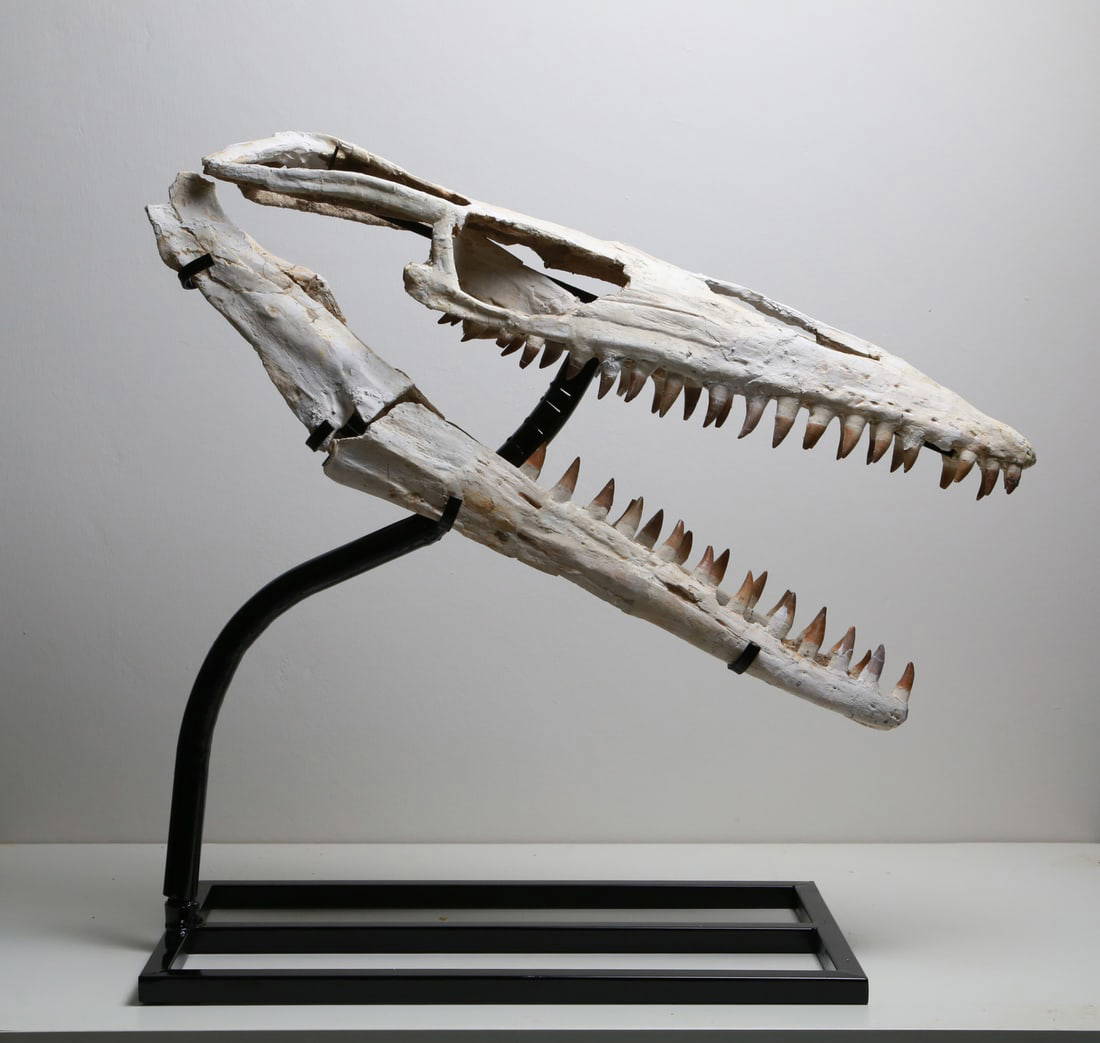 Collectible Rocks, Minerals & Fossils for Sale at Auction