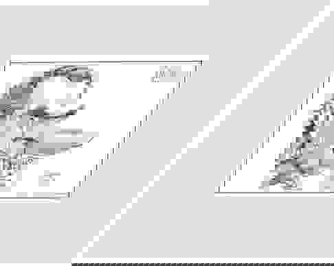 1977 Nixon Interviews Political Newspaper Artist Original Art Cartoon ...