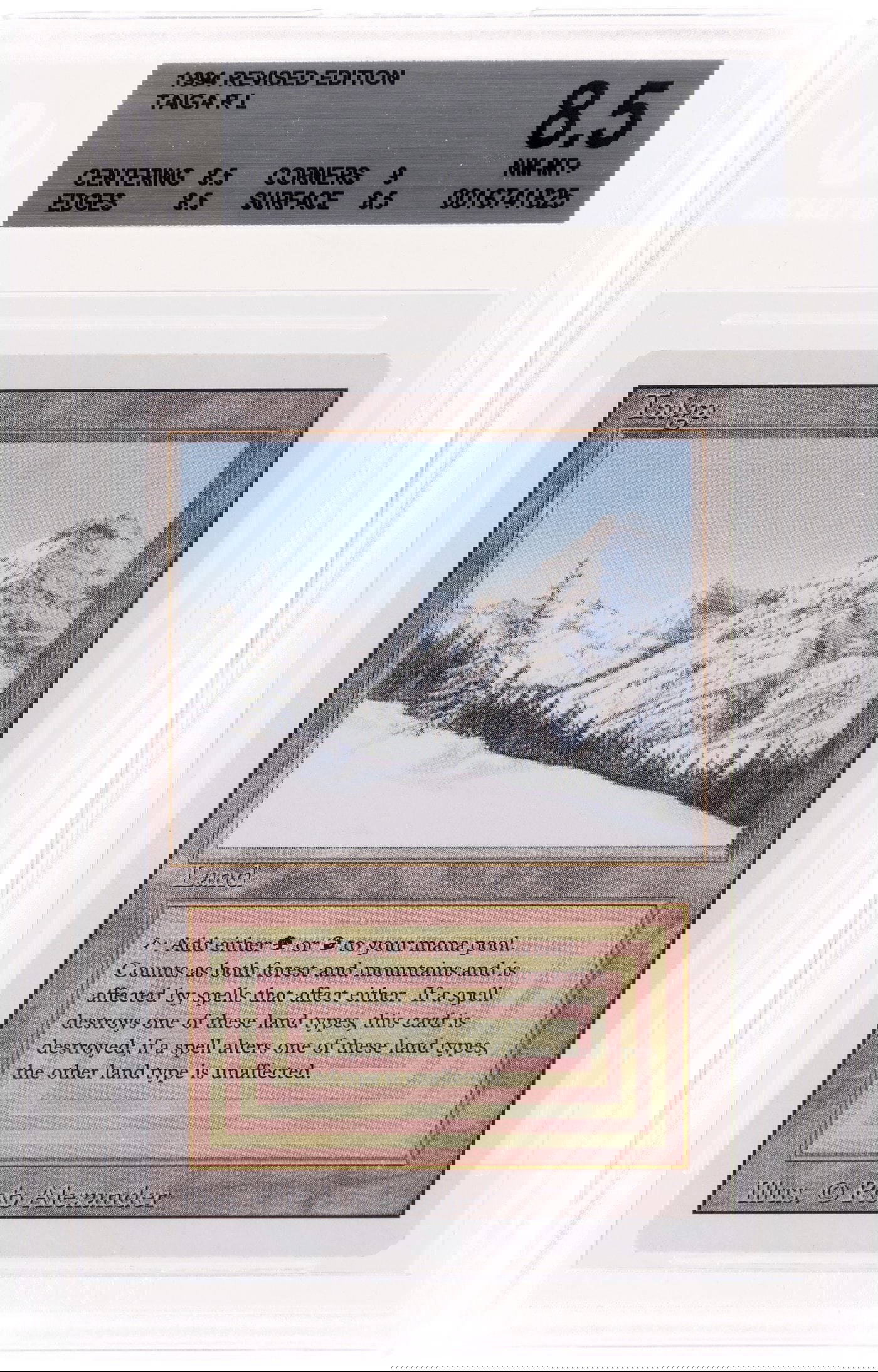 Magic: The Gathering (1994) - Taiga Revised Edition Rare R L Beckett 8. ...