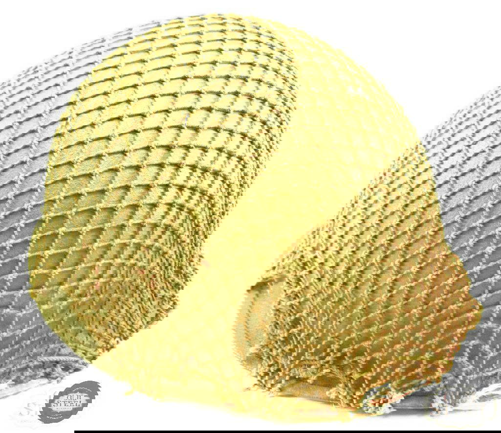 Wwii Us Army M1 Helmet Shell With Small Web Netting Cover Auction