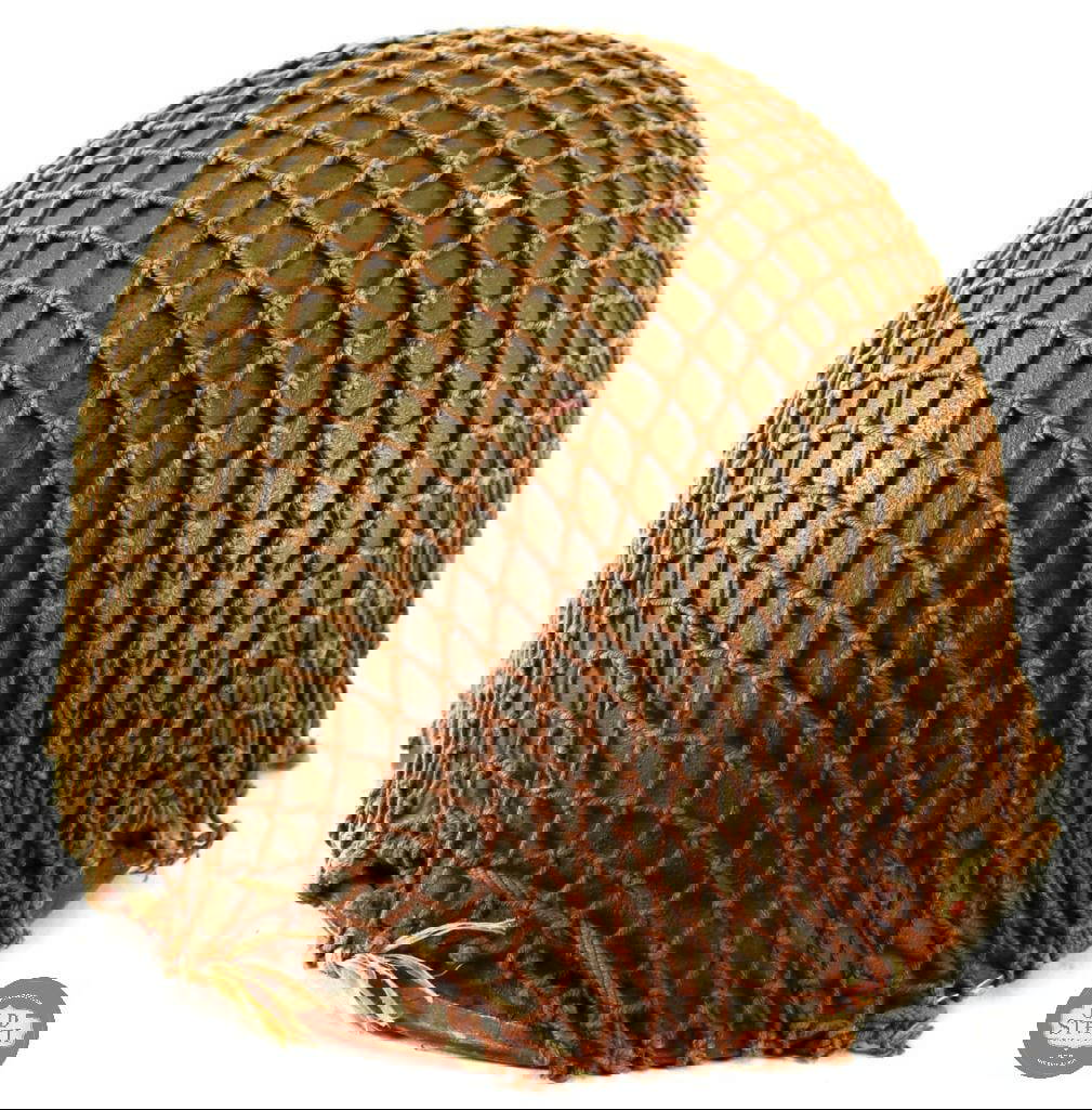M1 Helmet Shell And Netting Auction