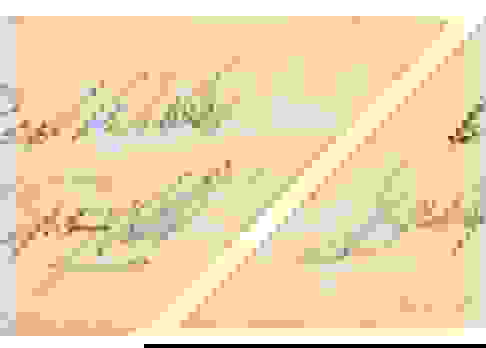 Dusty Springfield 1960s Autograph (uk) (tracks Coa) Auction