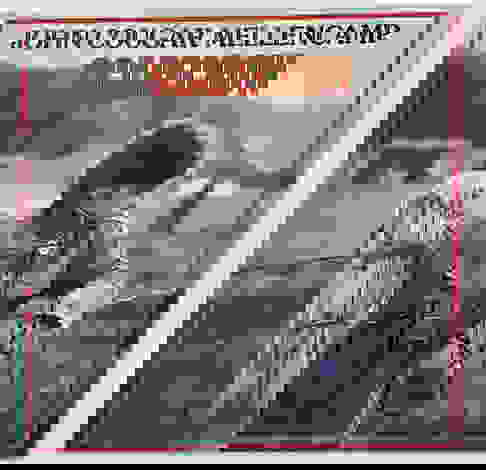 John Cougar Mellencamp In-person Signed "scarecrow" Album (jsa) Auction