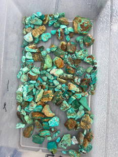 Collectible Rocks, Minerals & Fossils for Sale at Auction