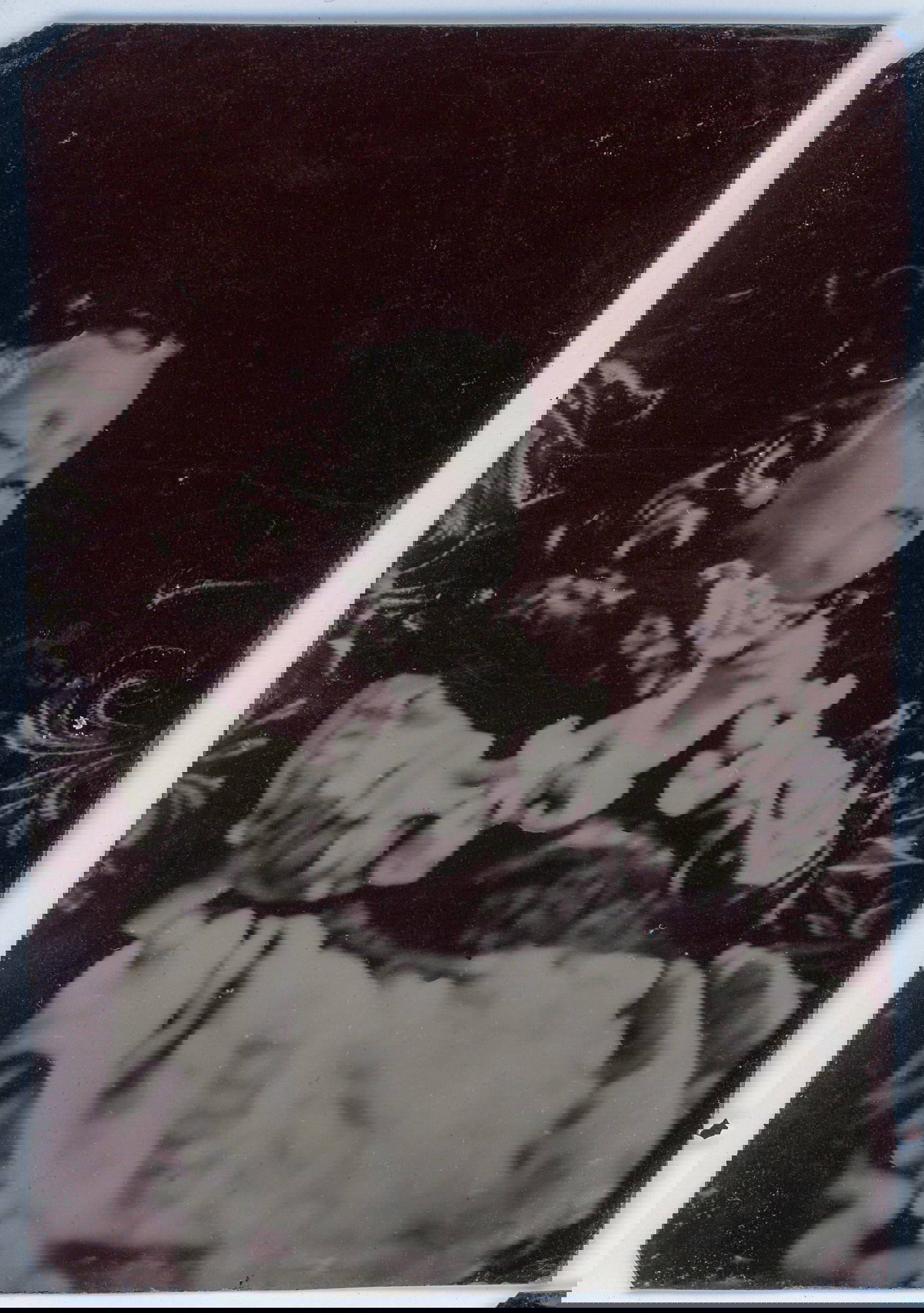 Tintype Post Mortem Of A Beautiful Young Child Auction