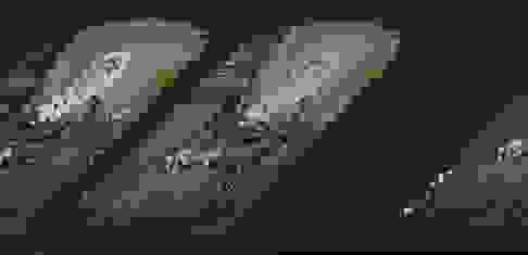 Beautifully Tinted Stereo Daguerreotype Of Woman By Tr Williams Auction