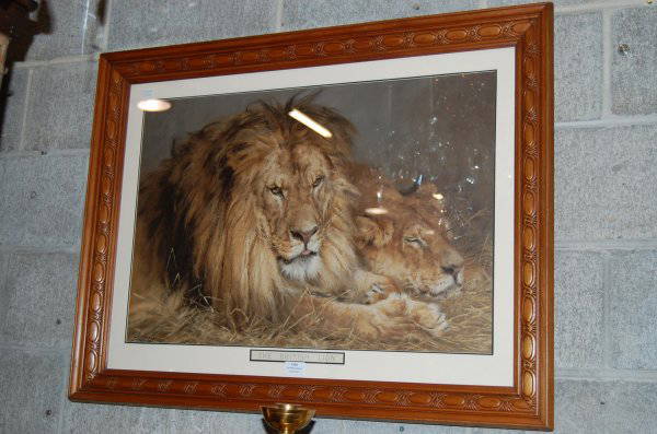 Original Antique Pears Print, "the British Lion"