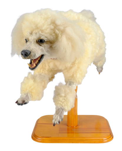 Interview With The Vampire (1994) Prototype Poodle Animatronic Puppet