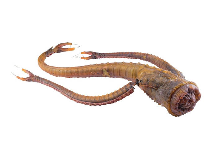 Species (1995) Sil (natasha Henstridge) Cocoon Squid Puppet