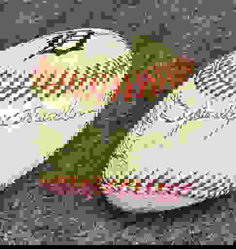 1991 Detroit Tigers Team 24x Autographed Baseball "d" Stamped Souviner ...