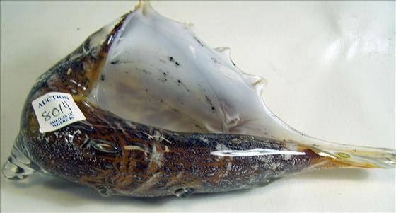 Murano Glass Spinney Sea Shell