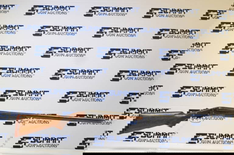 J. Stevens Arms Co. Springfield 5100 12ga