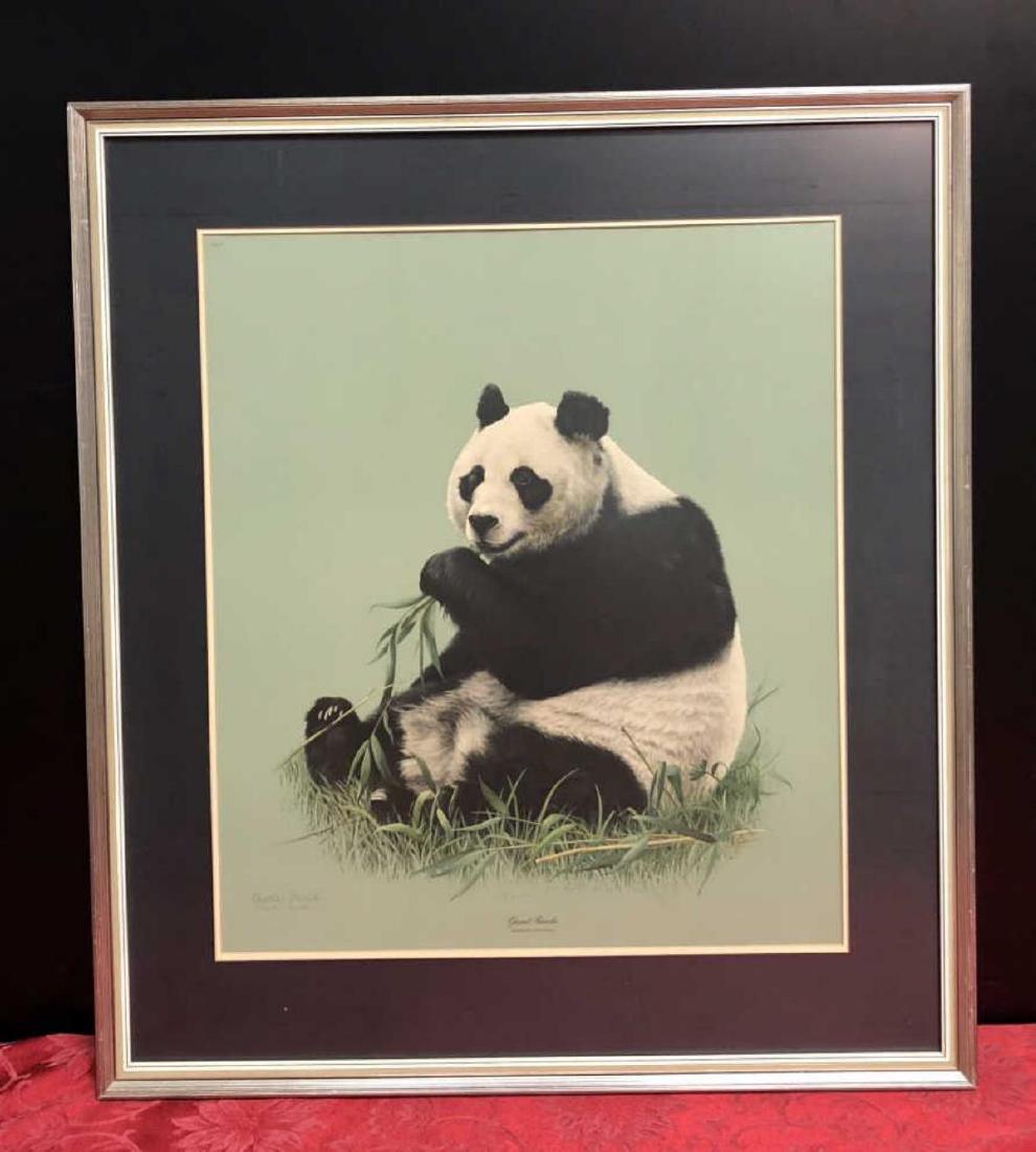Giant Panda Signed Framed Print by Charles Frace