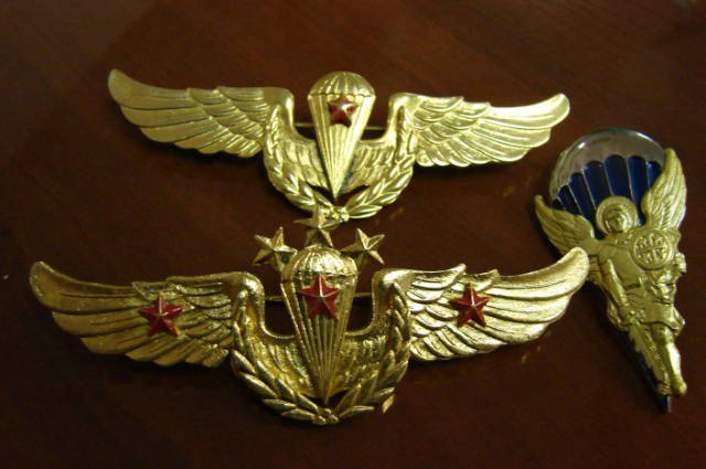 Para Badges: Indonesia & Lithuania