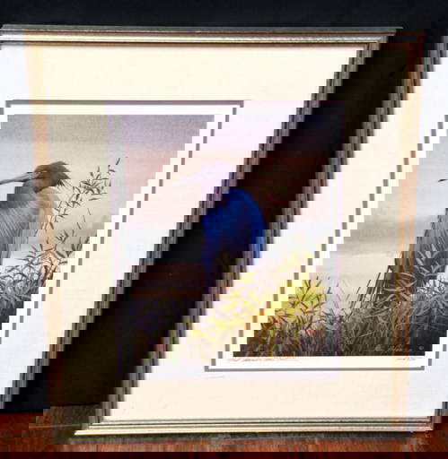 Neil Adamson Signed Numbered Print Of Blue Heron