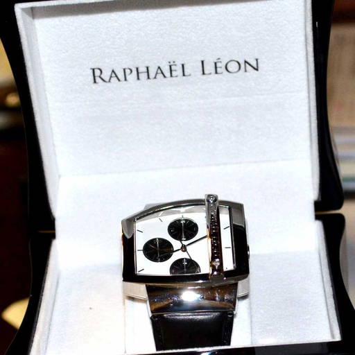 Man's Stainless Raphael Leon Watch