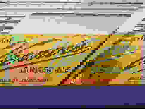 1952 Vernor's Ginger Ale Sign (very Large) Auction