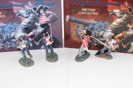 Britains Napoleonic French & British Casualties
