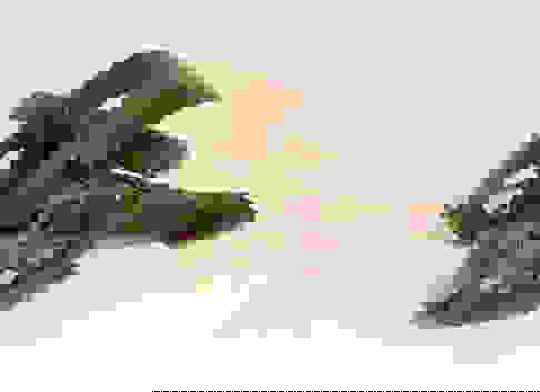 Marklin Field Artillery Gun Auction