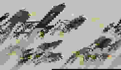 Taylor & Barrett Lot Of Zoo Figures Auction