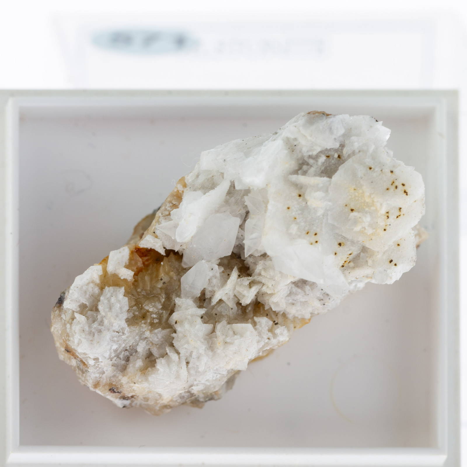 Natural Geology History - Geode Mineral Crystal Specimen Auction