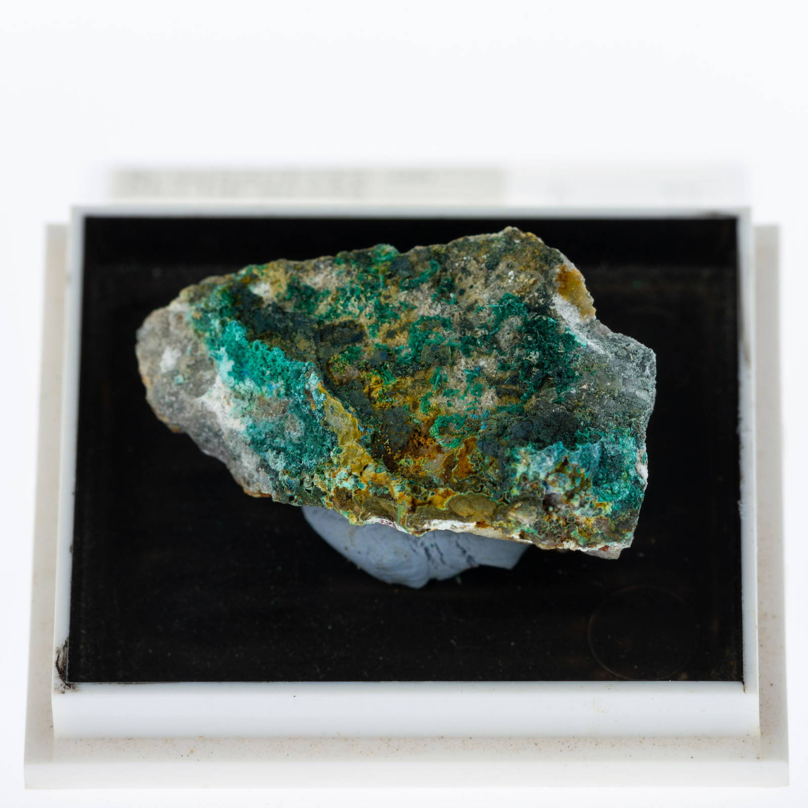 Natural Geology History - Geode Mineral Crystal Specimen Auction