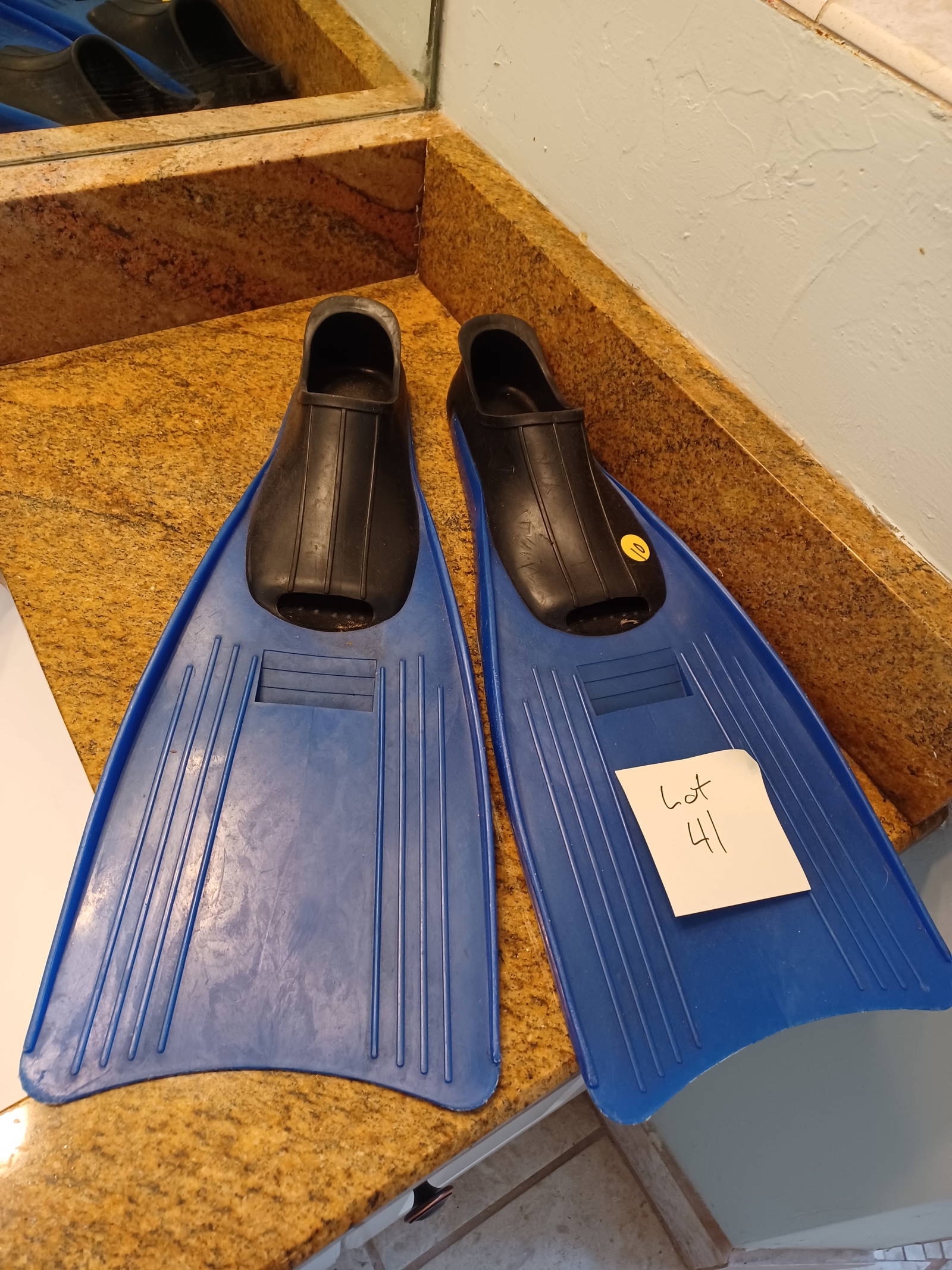 Dive Flippers Auction