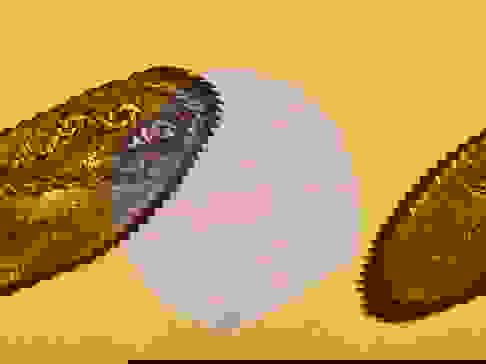 Ancient! Roman Judea Porcius Festus Auction