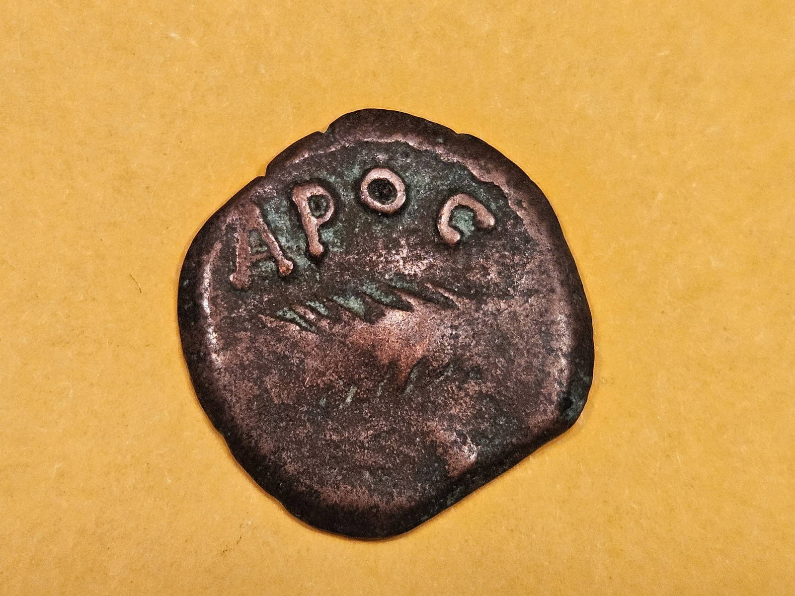 Ancient! Roman Judea Porcius Festus Auction