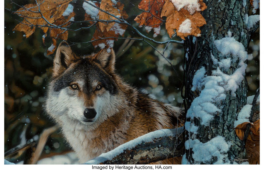 61137: Jim Turgeon (American, b. 1958) Grey Wolf Oil on