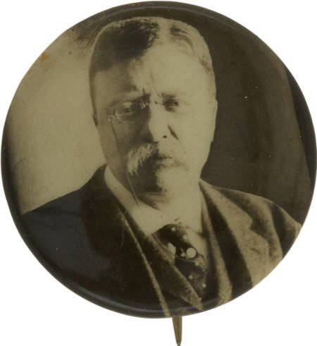 Theodore Roosevelt: Hake Specimen Picture Pin